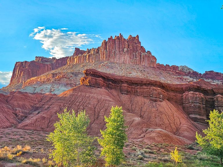 A Perfect Day at Capitol Reef National Park With Kids