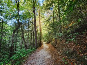 34 Unforgettable Things to Do in North Georgia, USA