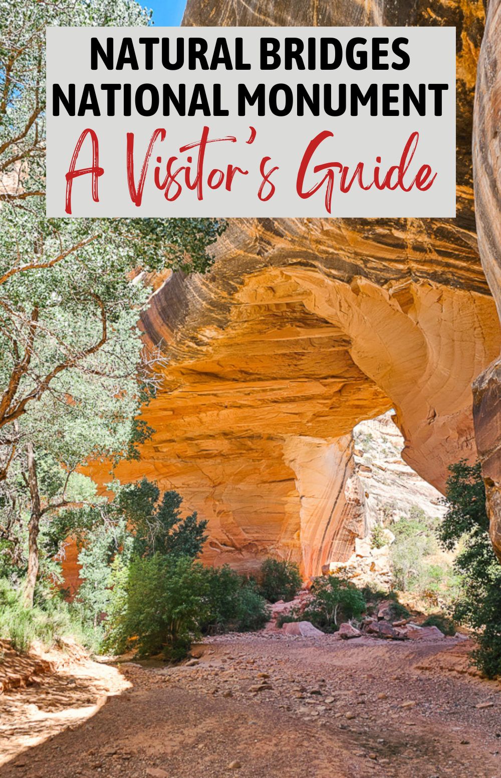 Guide for Visiting Natural Bridges National Monument: Hiking + Things to Do