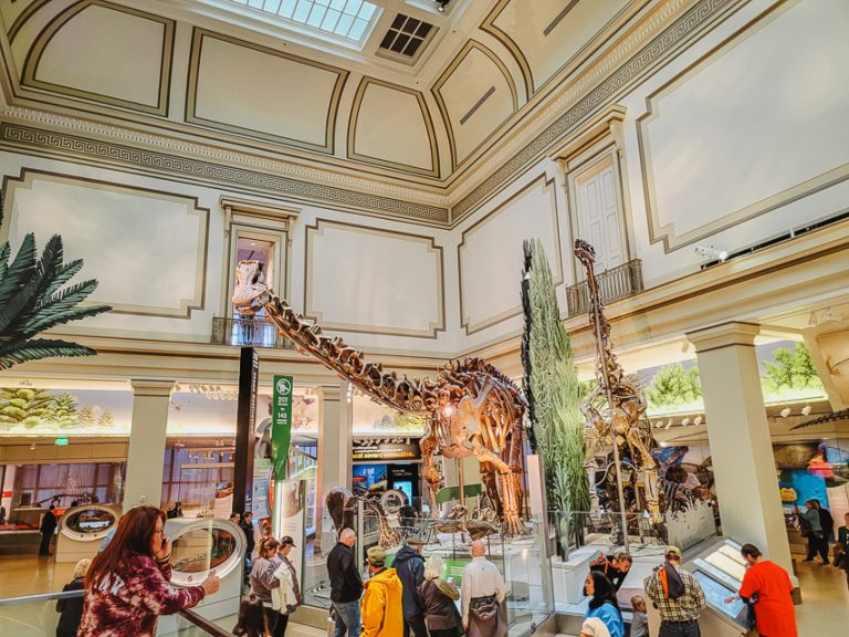 13 Incredible Children's Museums in Washington DC You Must Visit