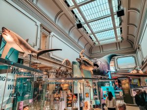 13 Incredible Children's Museums in Washington DC You Must Visit