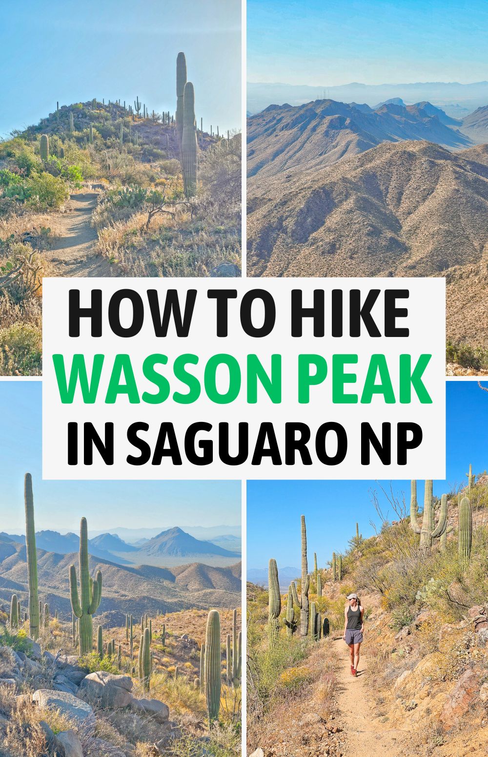 How to Hike to Wasson Peak in Saguaro National Park