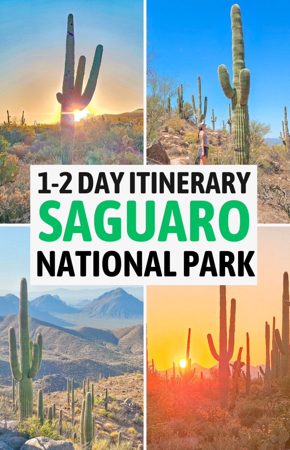Your Perfect Saguaro National Park Itinerary For 1-2 Days