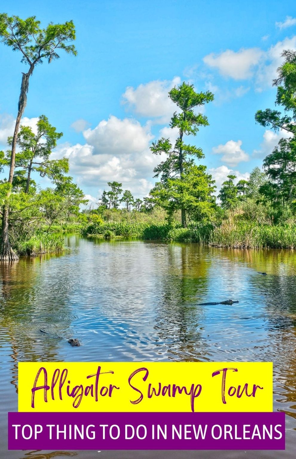 Is a Swamp Tour Worth It in NOLA? What You Need to Know
