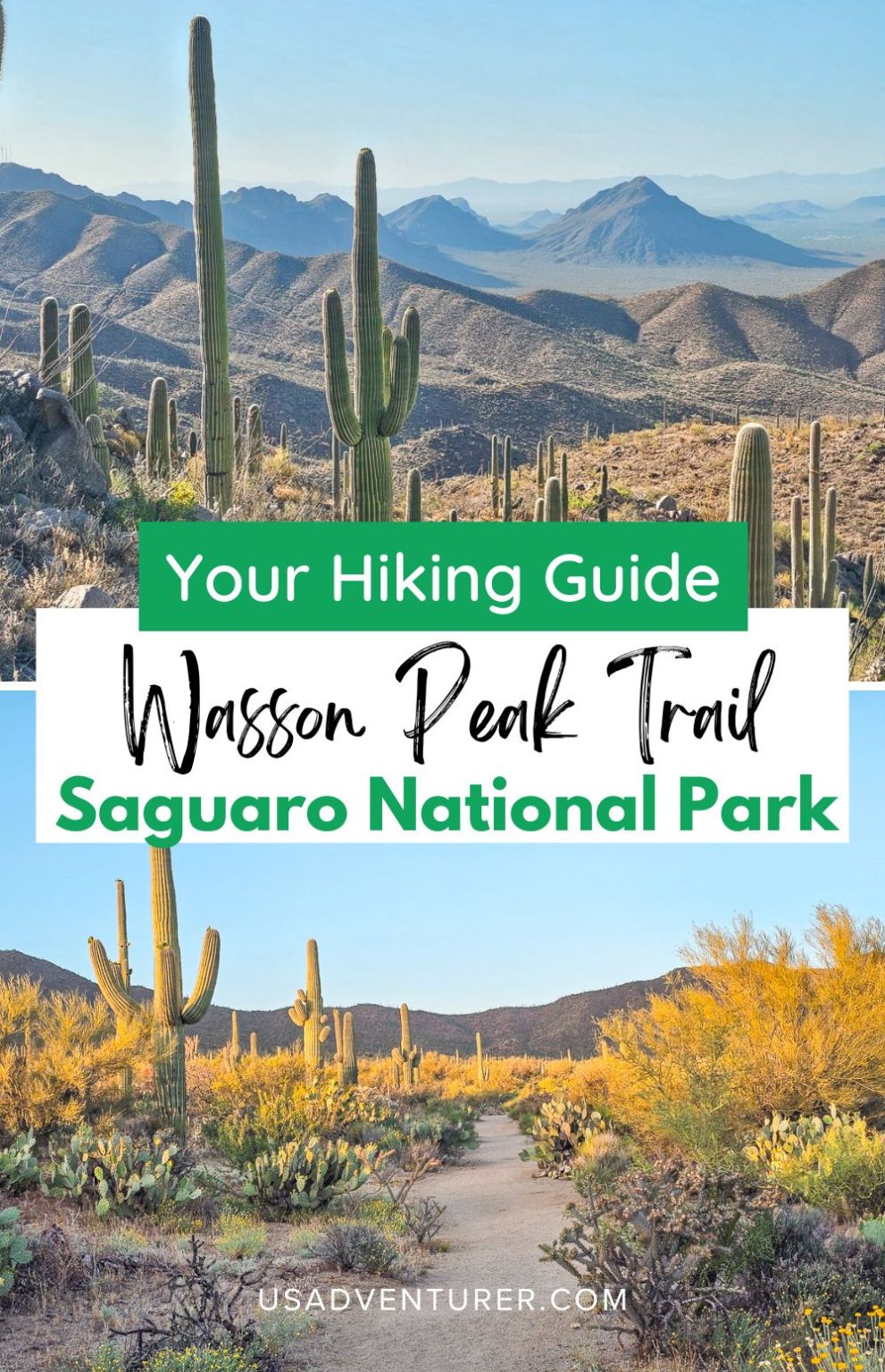 How to Hike to Wasson Peak in Saguaro National Park
