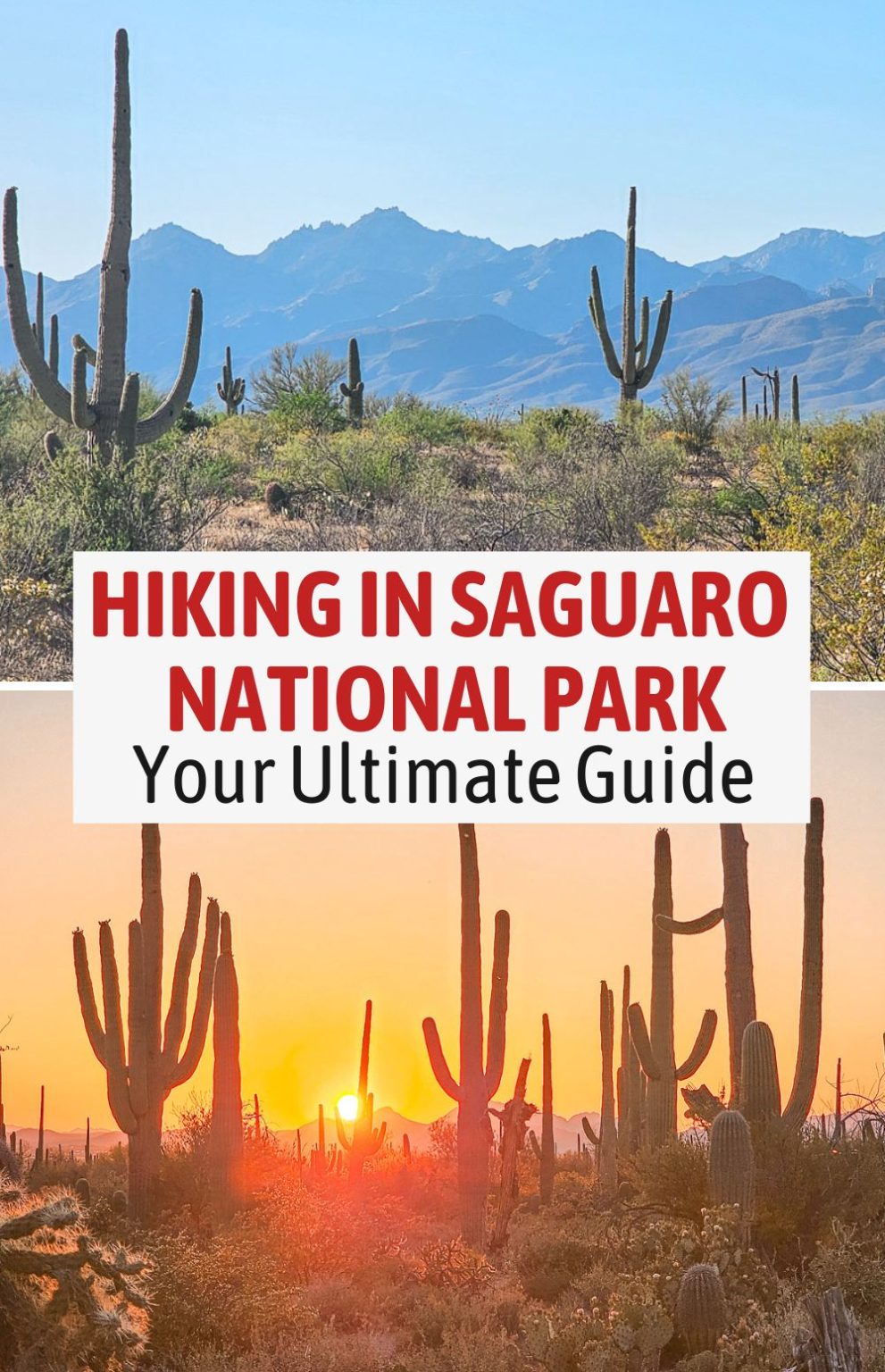 10 Unforgettable Hikes in Saguaro National Park