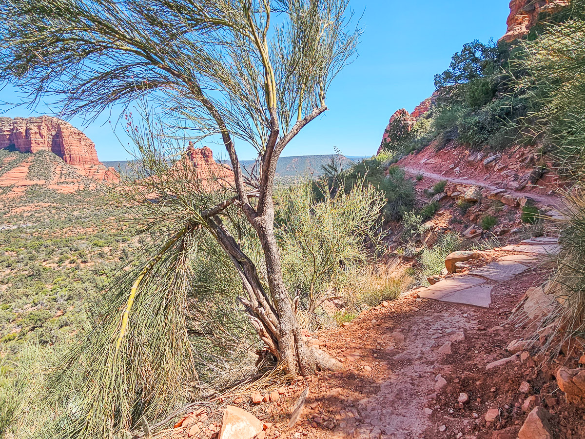 The Perfect 5-Day Sedona Itinerary You Need to Steal