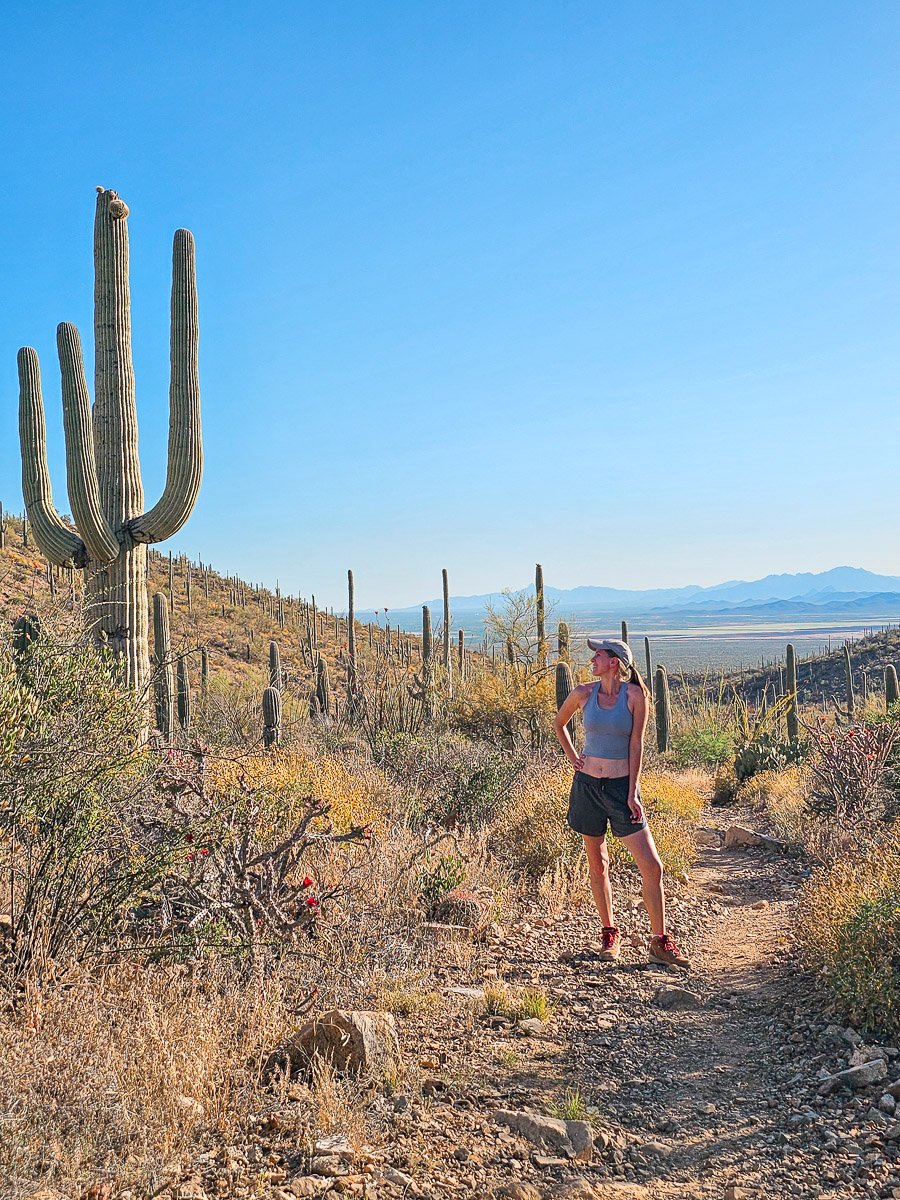10 Unforgettable Hikes in Saguaro National Park