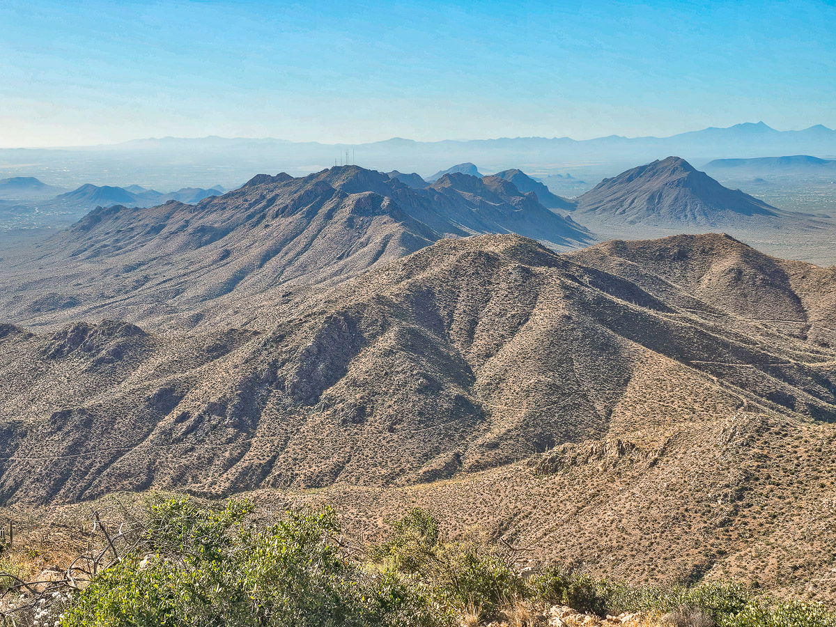 How to Hike to Wasson Peak in Saguaro National Park