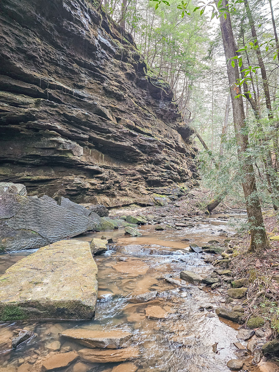 14 Beautiful Waterfalls in North Alabama to Discover