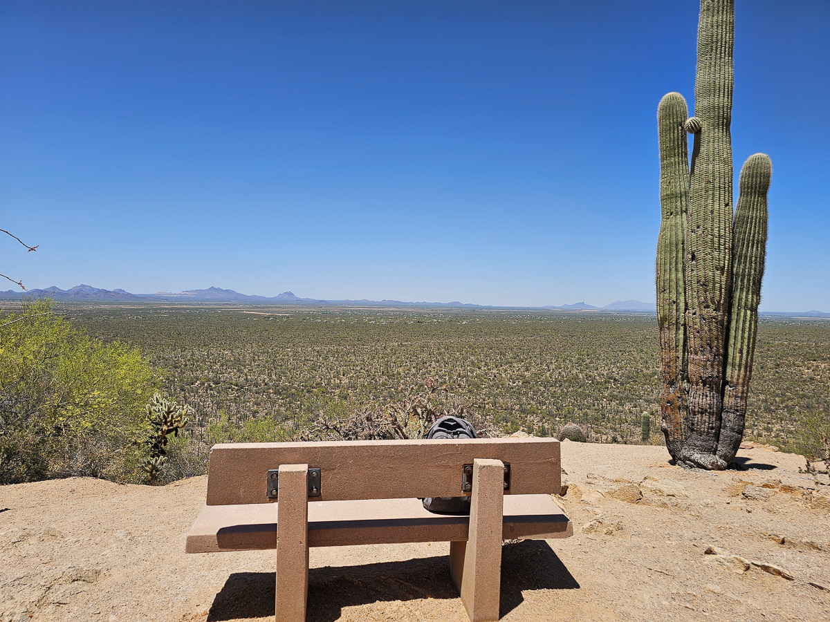 10 Unforgettable Hikes in Saguaro National Park