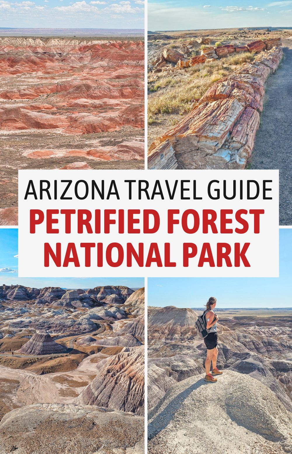 Ultimate Guide to One Day in Petrified Forest National Park: Best ...