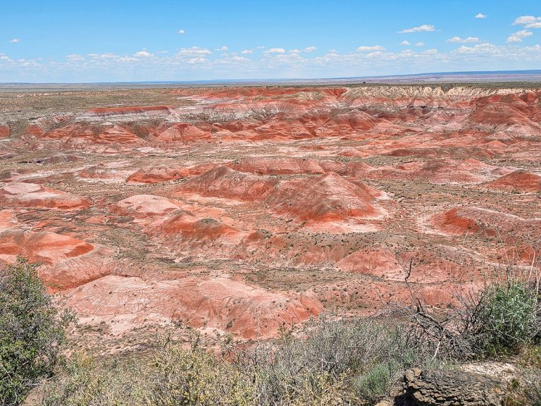 Ultimate Guide to One Day in Petrified Forest National Park: Best ...
