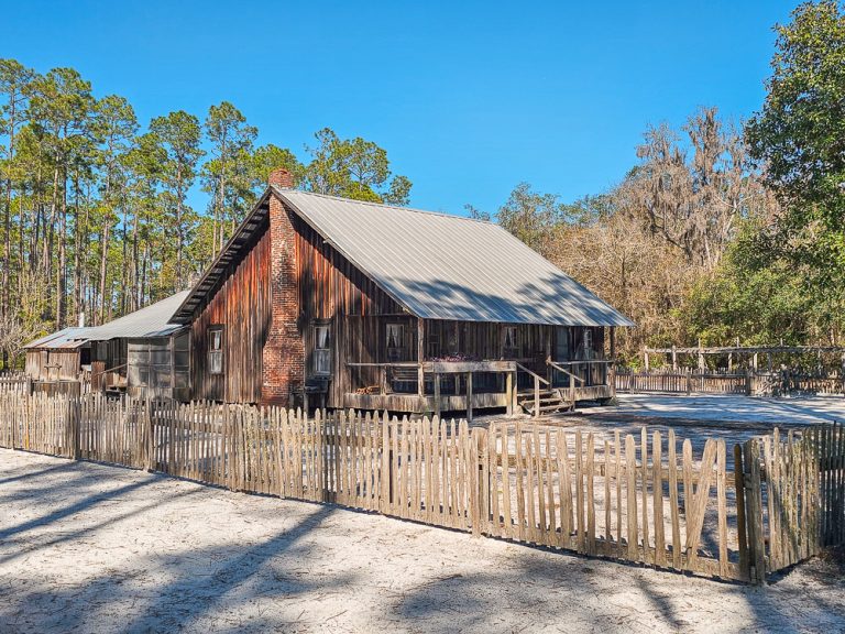 Visiting Okefenokee: The Swamp Home to 15,000 Alligators and a Floating ...