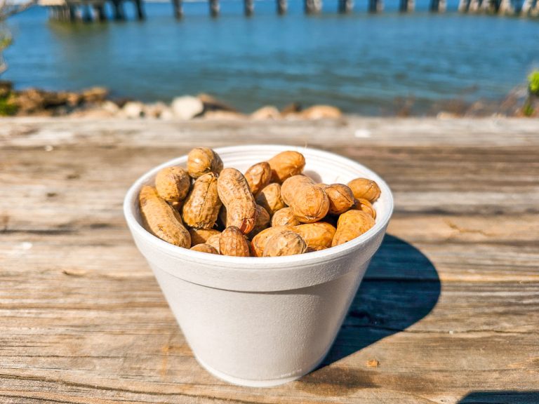 20 Spectacular Things to Do on Jekyll Island: The Jewel of the Golden Isles