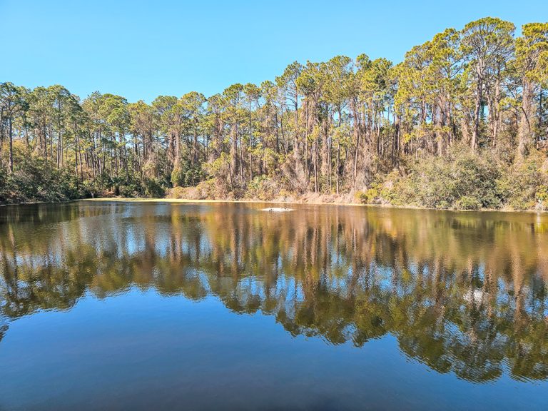 20 Spectacular Things to Do on Jekyll Island: The Jewel of the Golden Isles