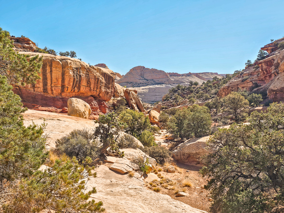 Best Things to Do in Capitol Reef National Park (Hikes, Views, and More)